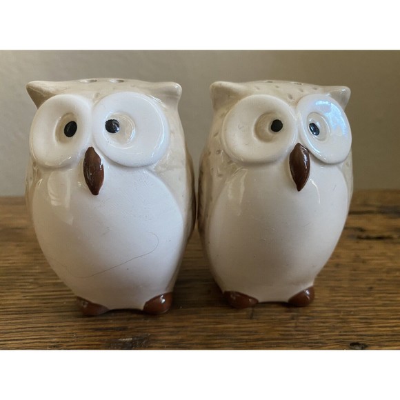 Pier 1 | Dining | Pier Adorable Owl Salt And Pepper Shakers ...
